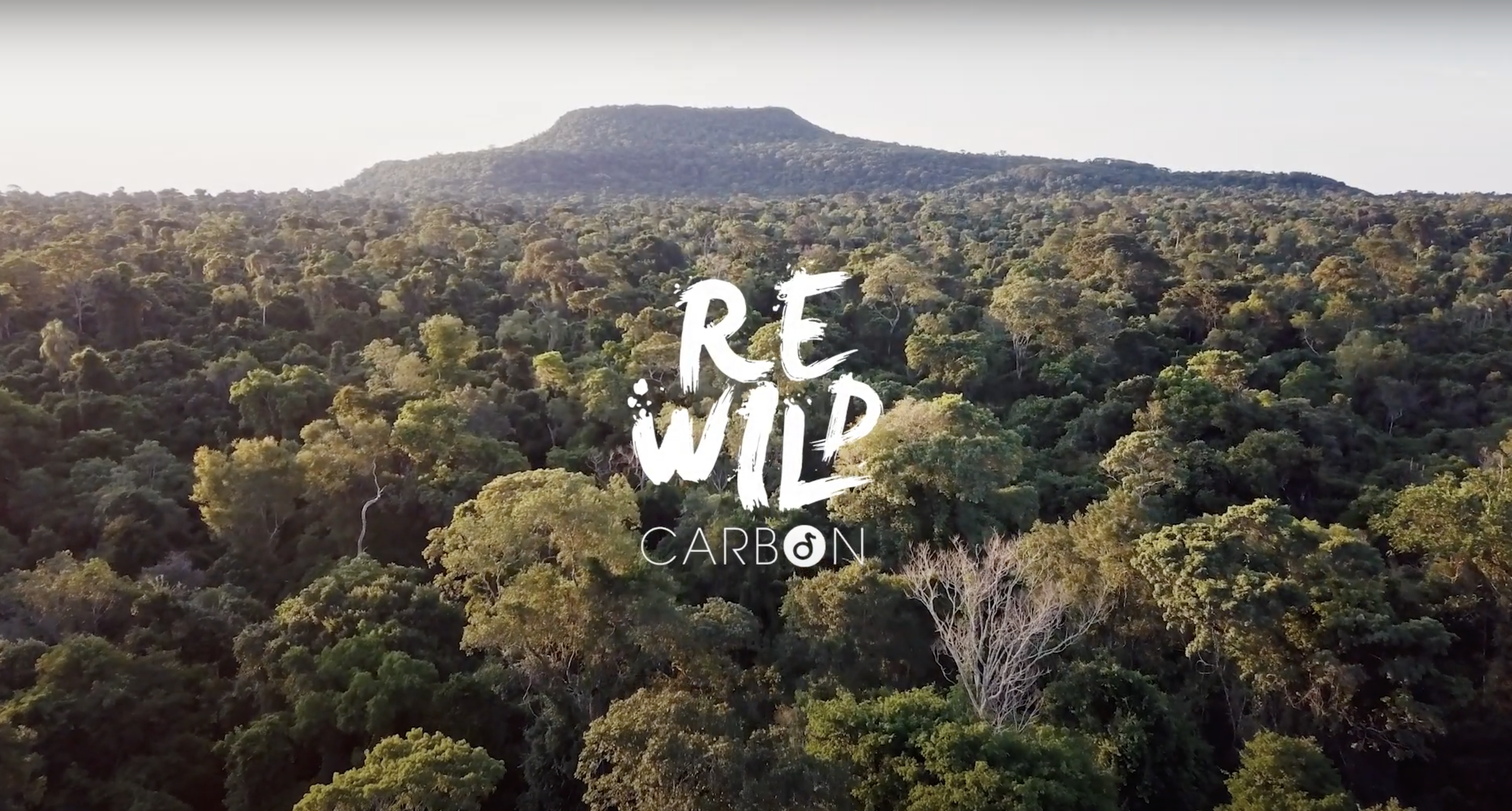 Rewild Carbon | Durrell