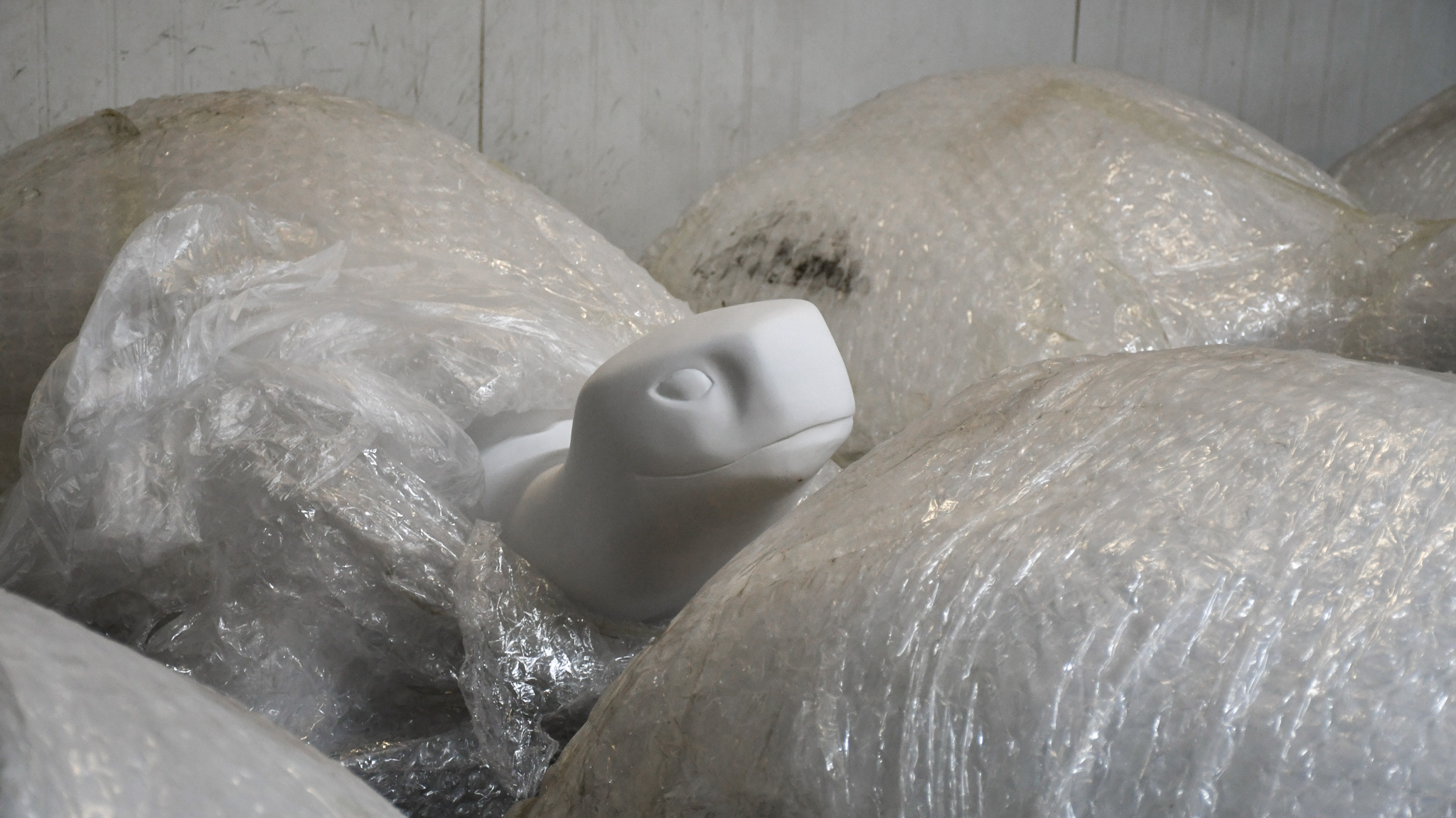 Tortoises arrive for this summer's sculpture trail | Durrell