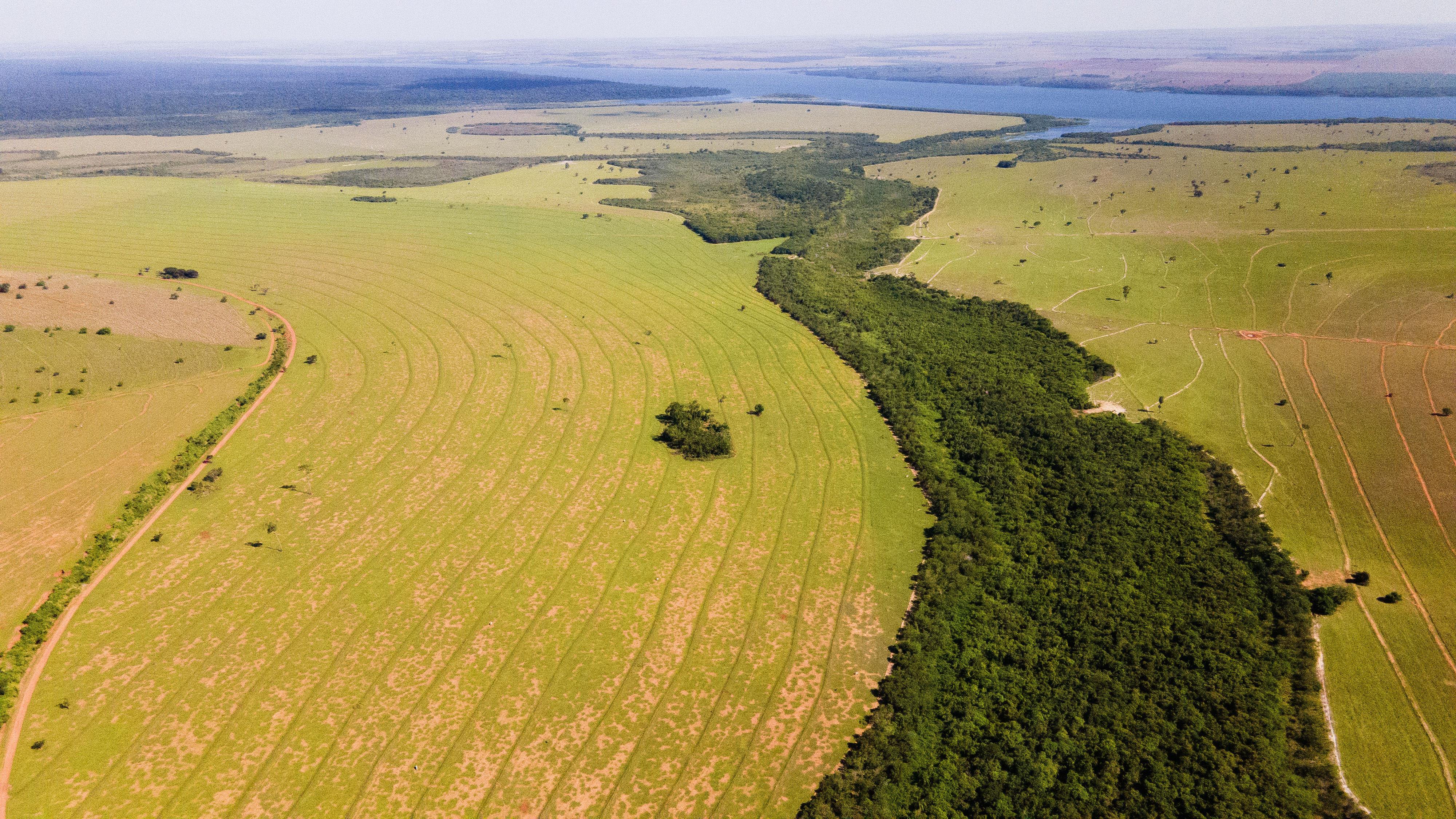 Durrell Wildlife Conservation Trust