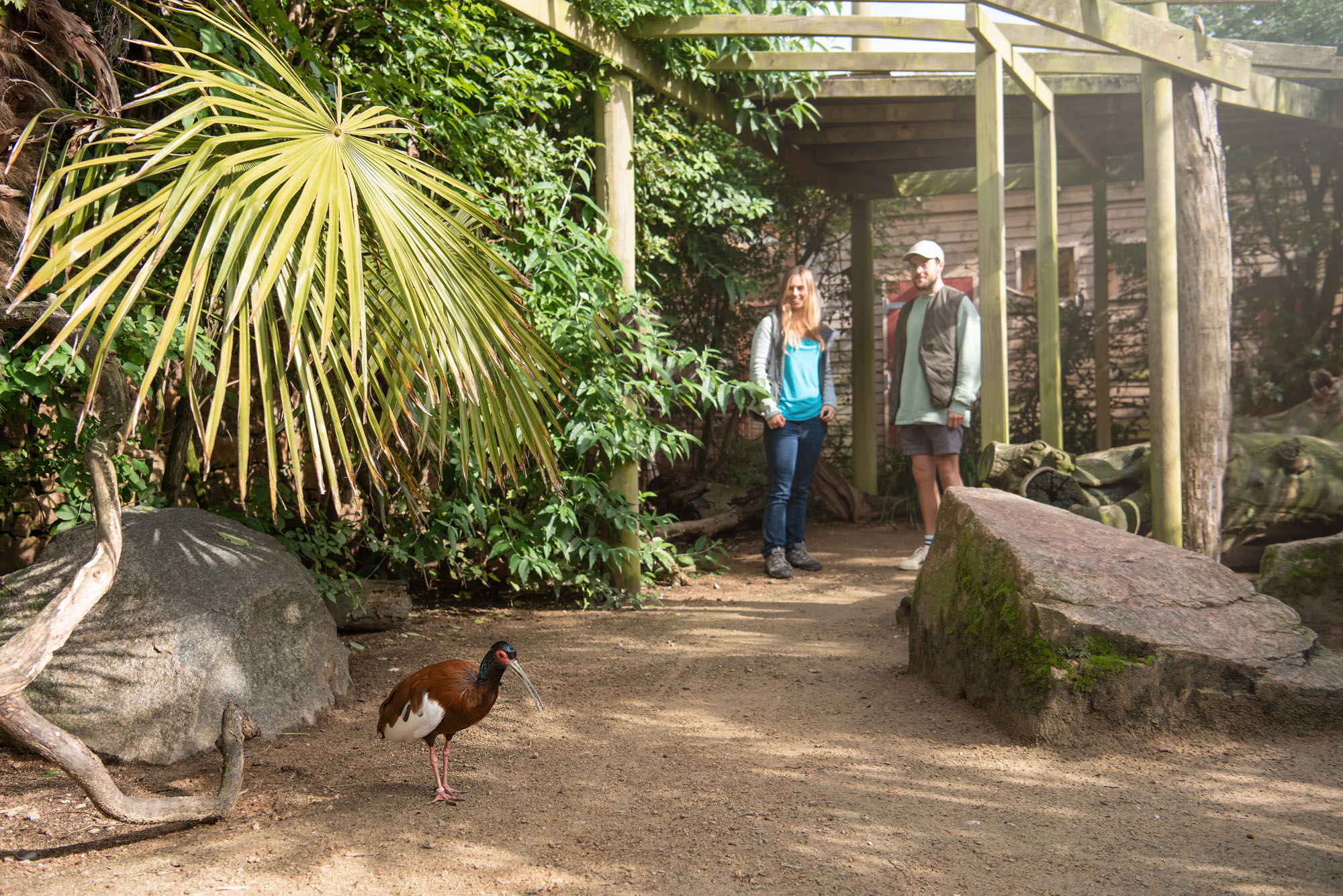 Plan Your Visit to Jersey Zoo | Durrell