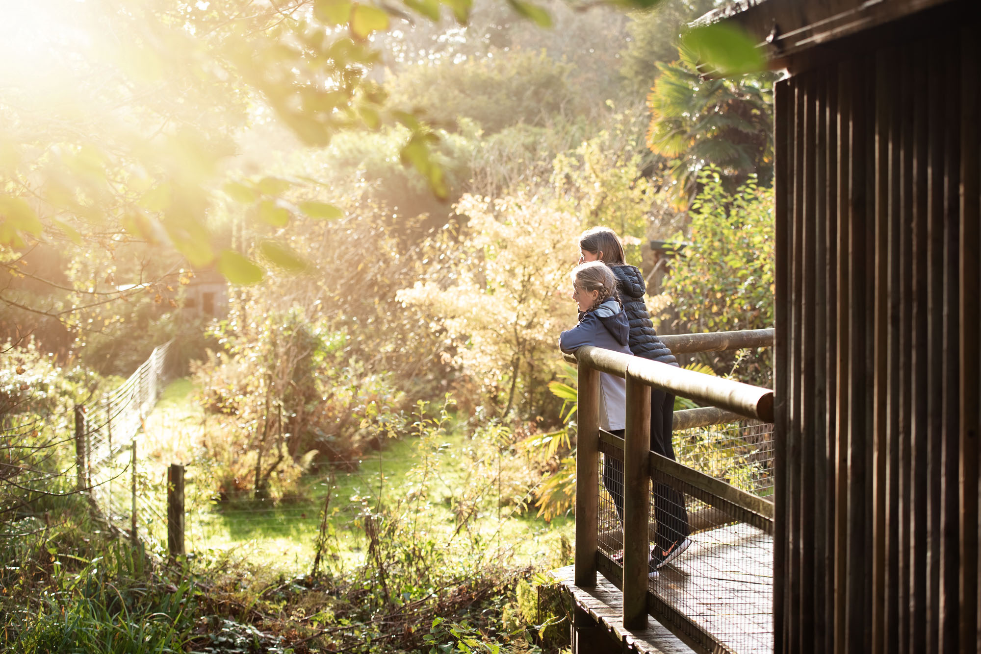 How to get to Jersey Zoo | Durrell